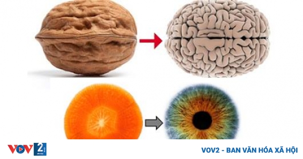 Lịch sử có phải viết lại sau nghiên cứu về gen người Việt?