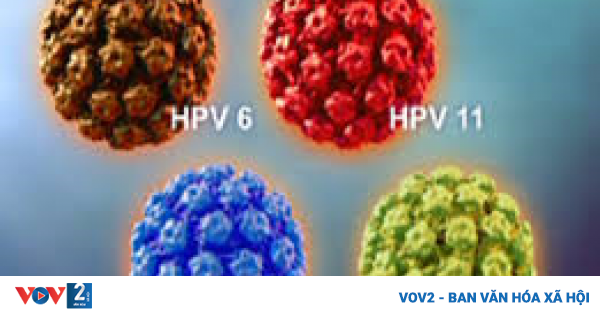 Các bước theo dõi sau khi phát hiện ra nhiễm HPV, loại virut gây ung ...