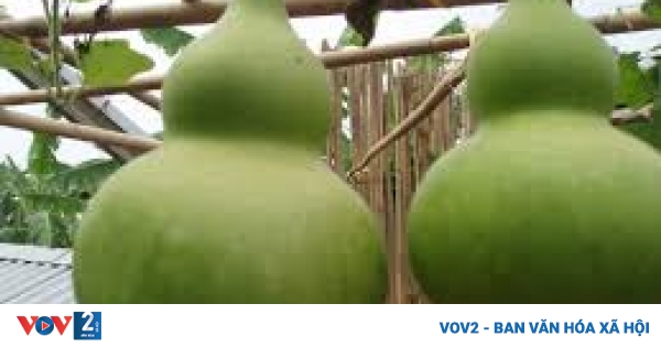 Truyện cổ tích Thế giới: Bà già trong quả bầu | VOV2.V